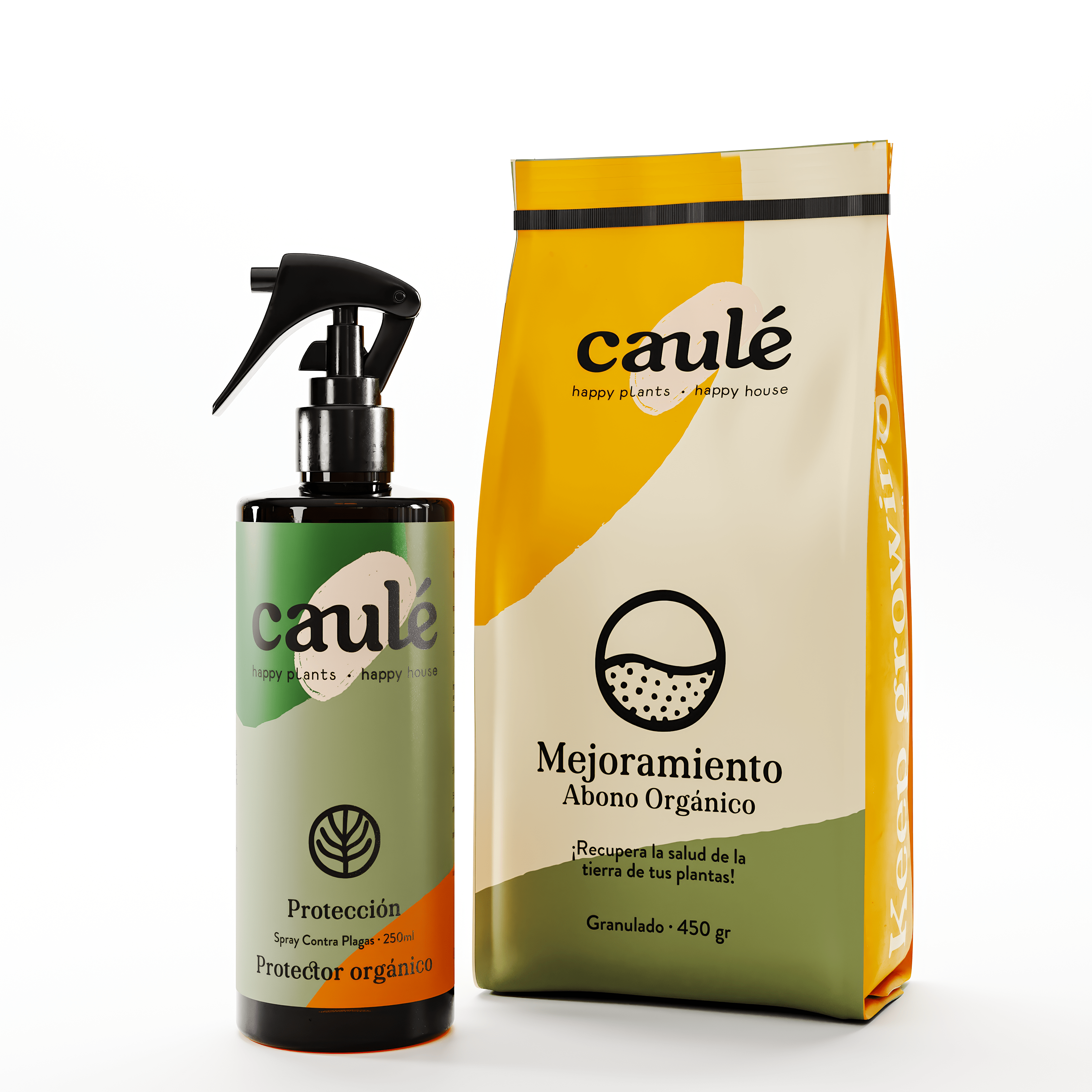 Starter Kit – Caulé Happy Plants